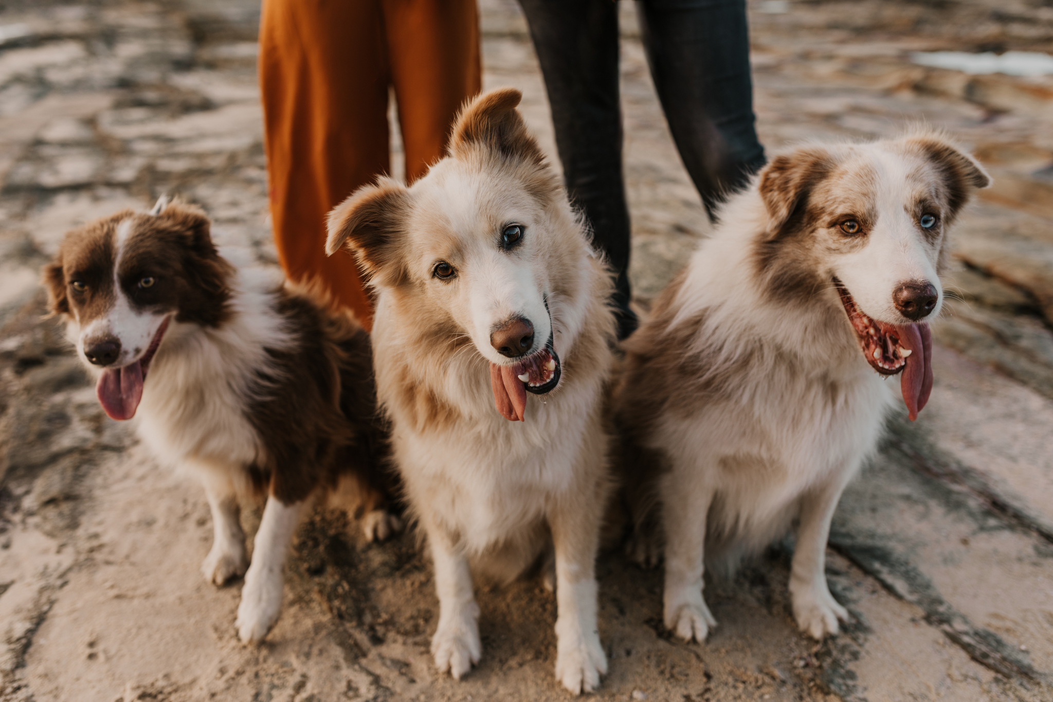 People & Puppies • Emma Nayler Photographer - Sunshine Coast